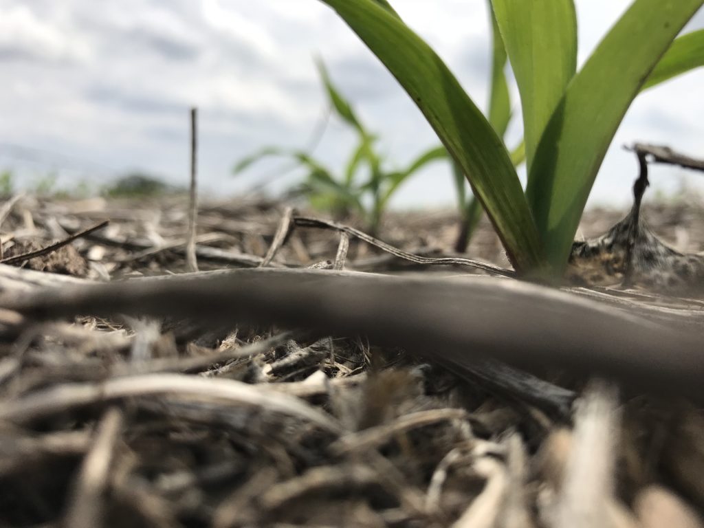 About Me | Sabra Moore